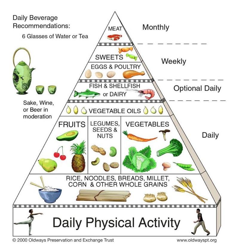 Daily Physical Activity Musely