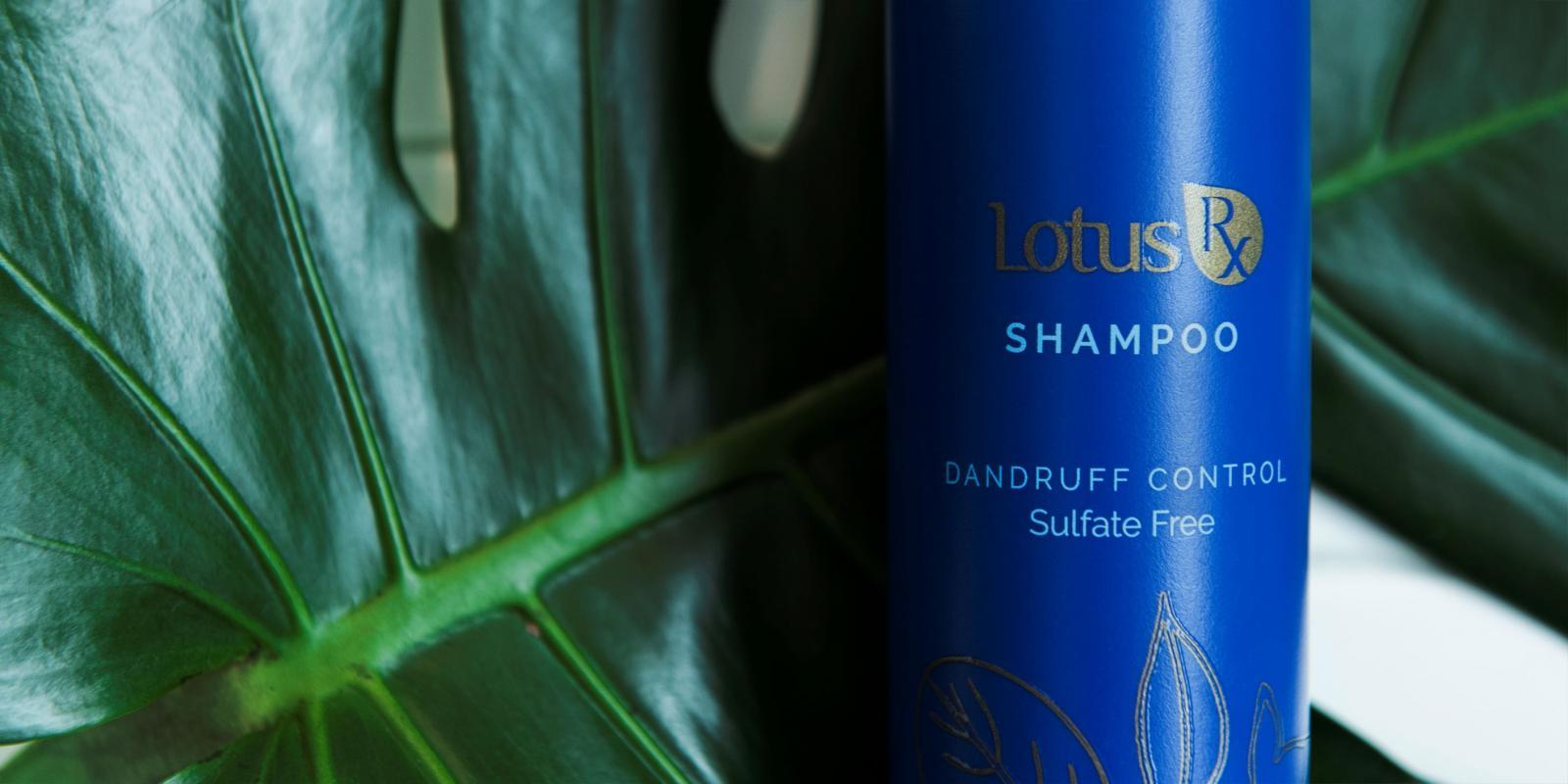 Dandruff Control Shampoo by Lotus Rx Hair Solution - Musely