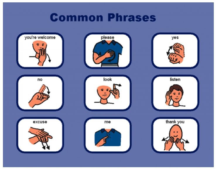 Learn Some Common SIGN LANGUAGE Musely