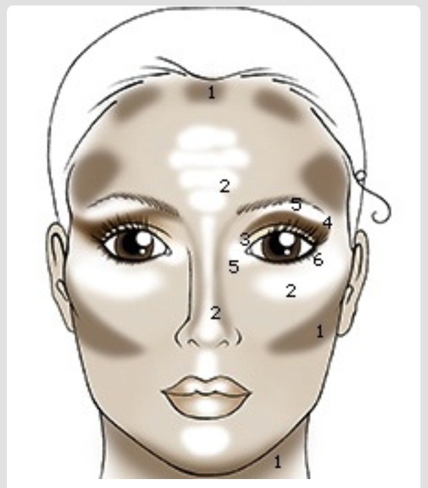 Contouring Tips! - Musely