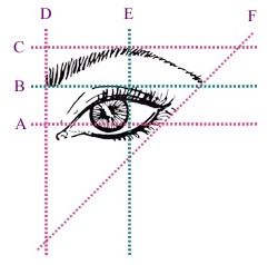 Eyebrow Map Out! - Musely