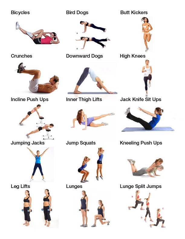 Workout Names Musely