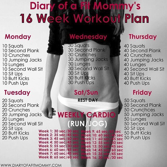 16 Weeks Workouts Plan Musely