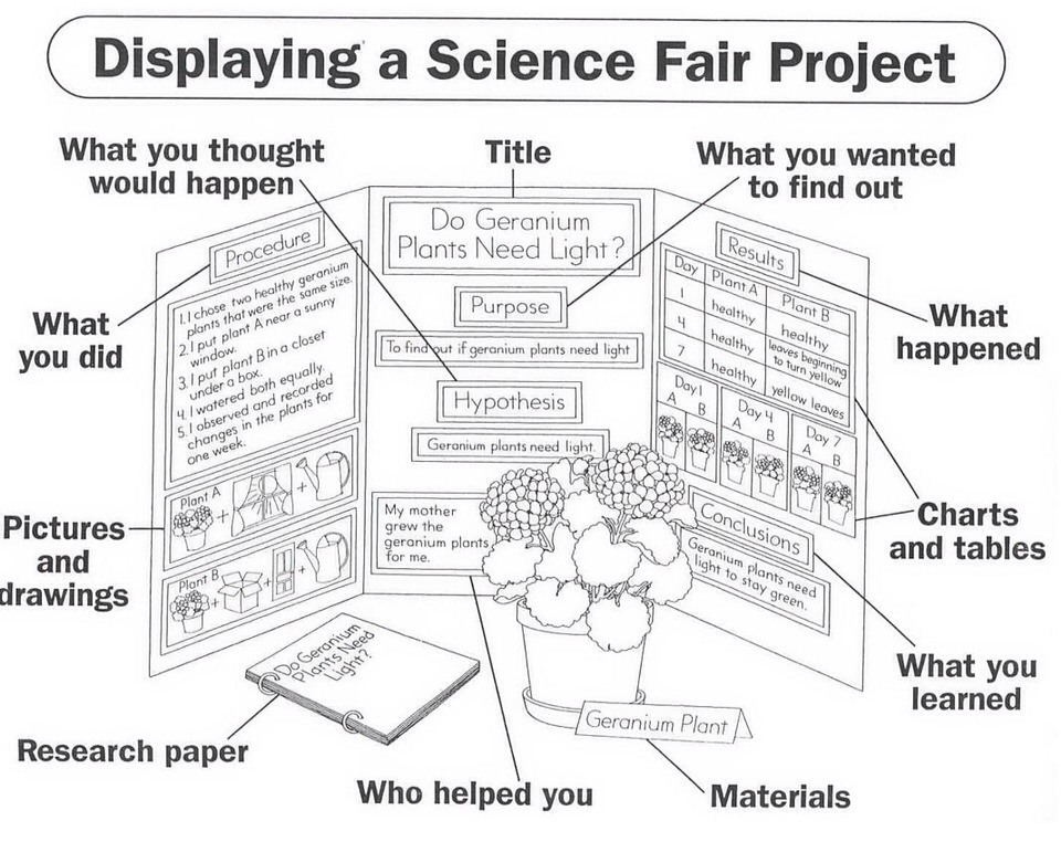 How To Display A Science Fair Project Musely