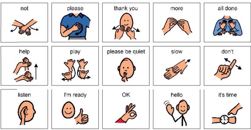 Learn Sign Language Musely