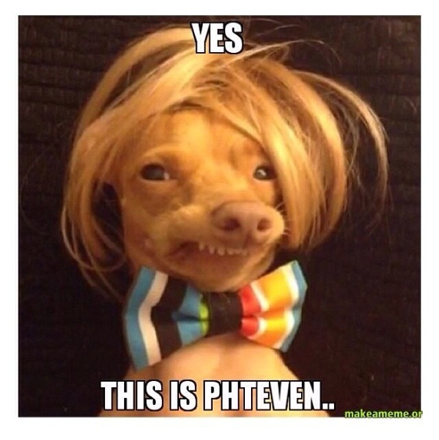 Cachorro Phteven Mcdonalds