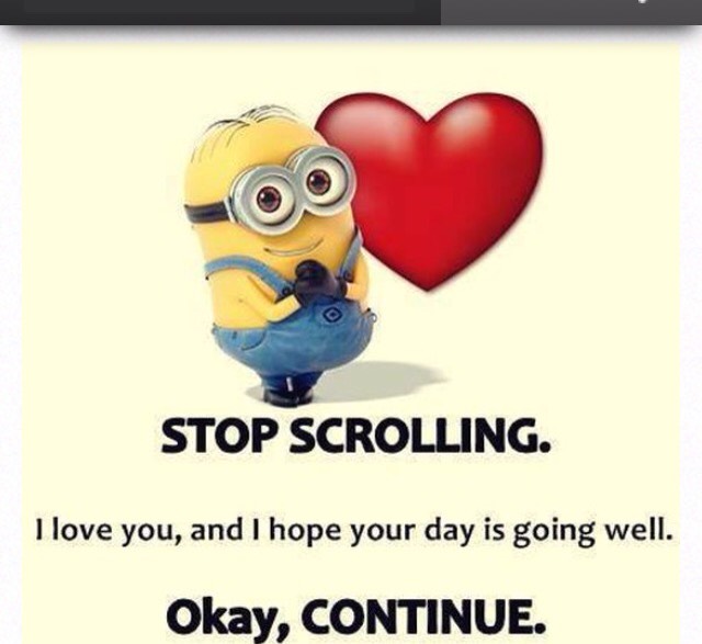 Minion Support Quotes