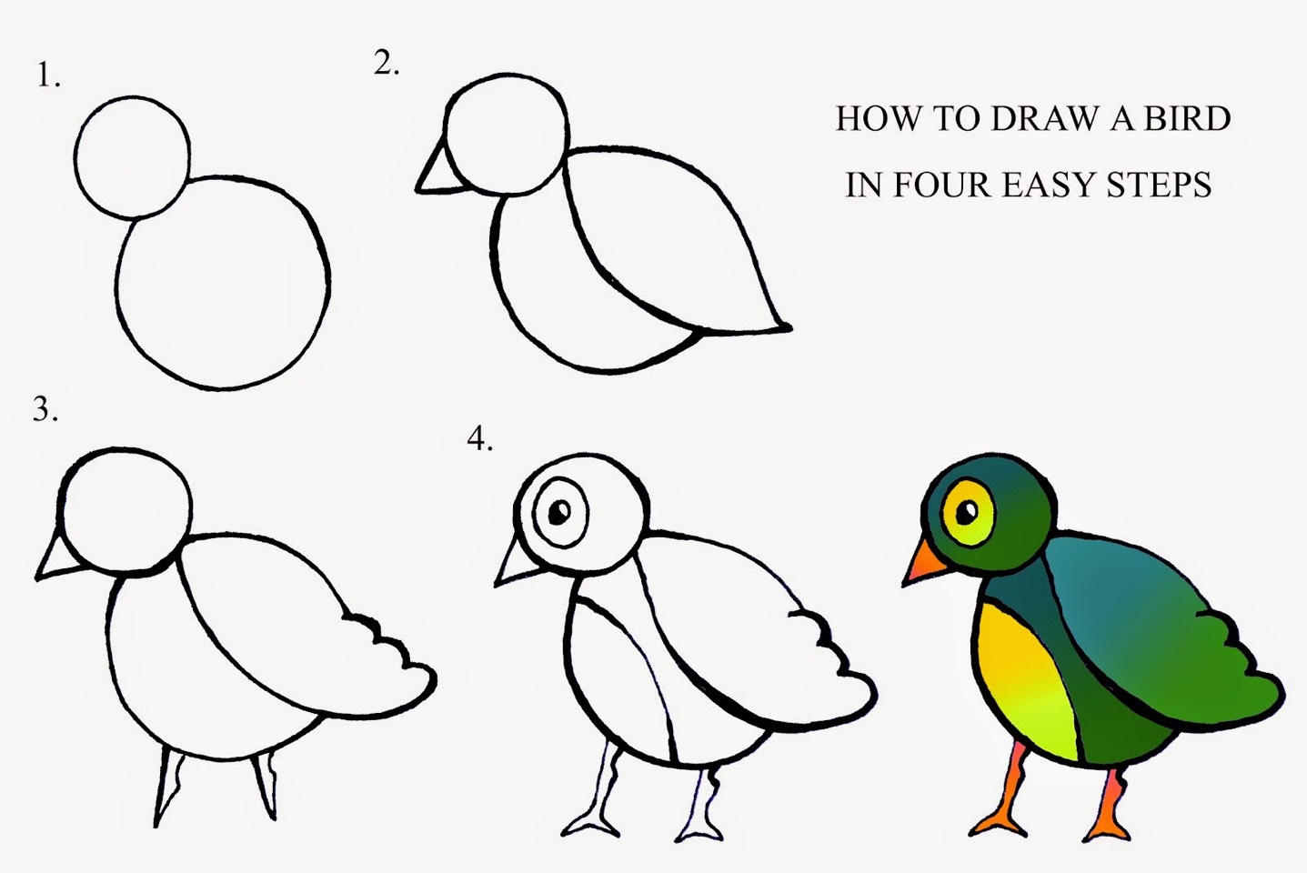 How To Draw A Bird EASY Musely