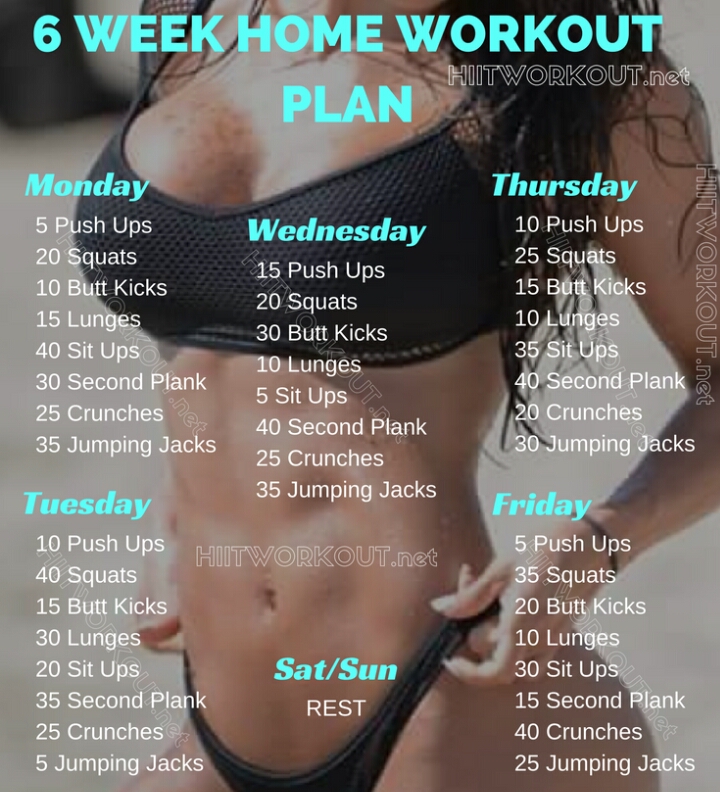 Weider Crossbow 6 Week Workout Plan Blog Dandk