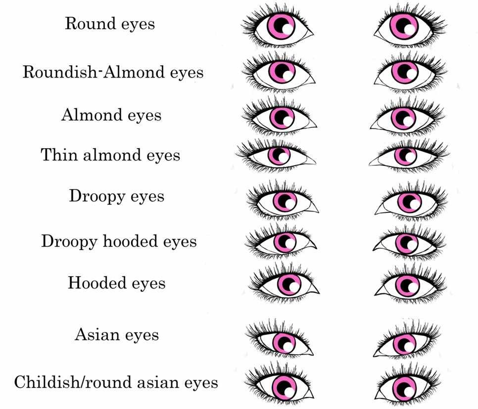 Guide To Different Eye Types Musely