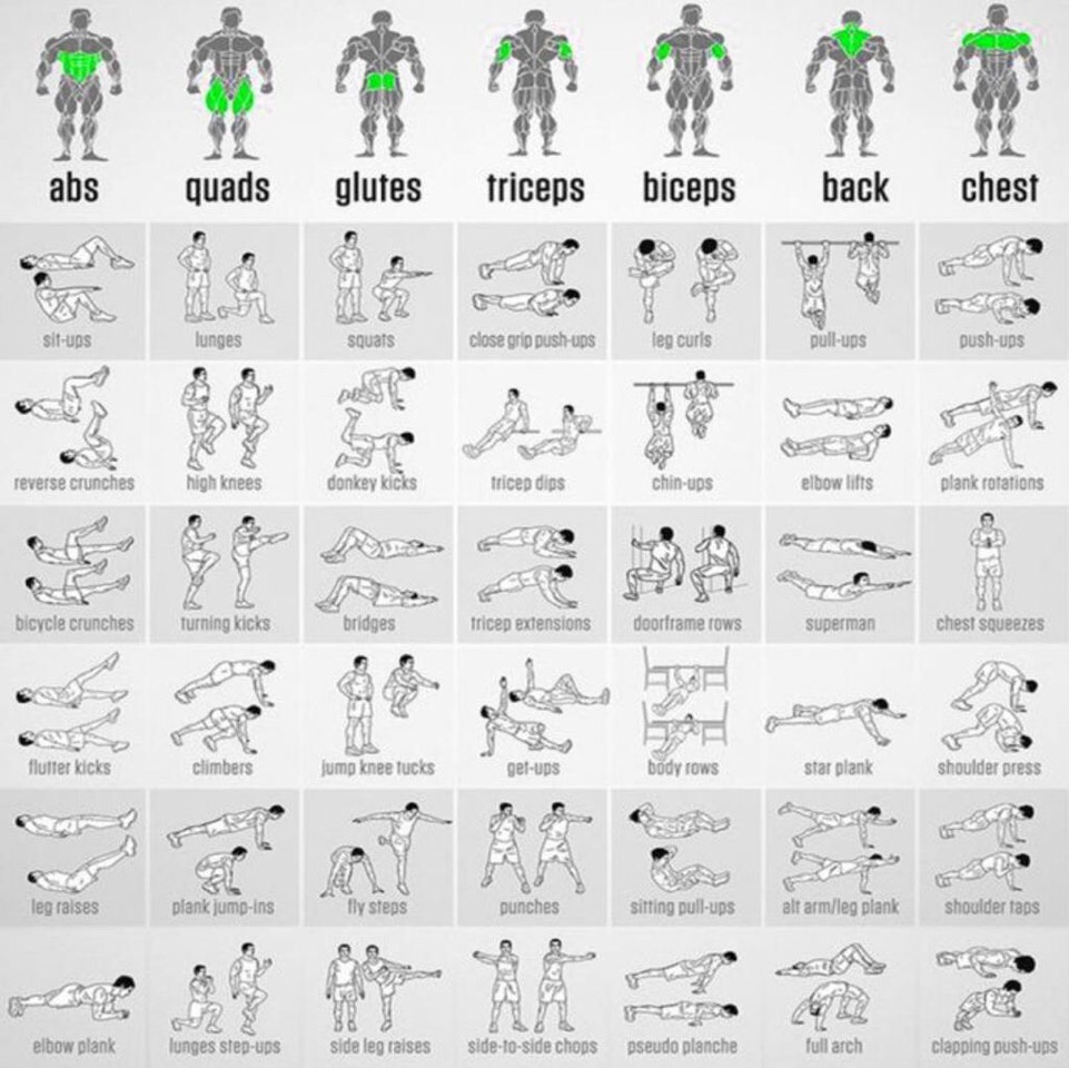 Best Exercises For Each Body Part Musely