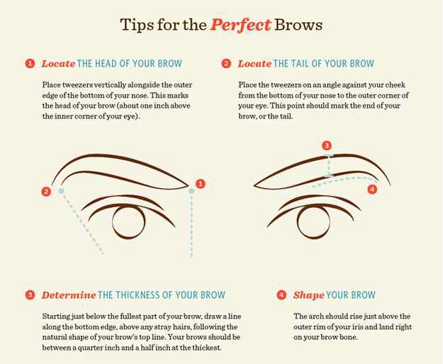 16 Eyebrow Diagrams That Will Explain Everything To You By Katie El Haj 