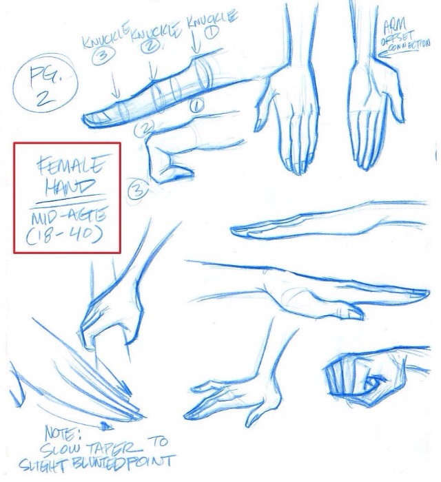 Stylized Hands Model Sheets - Musely