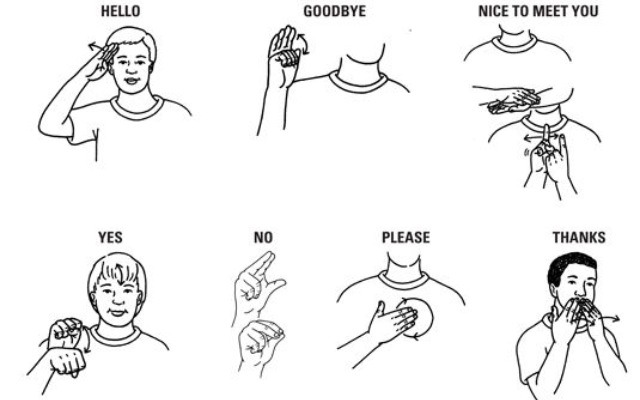 Basic Sign Language Musely