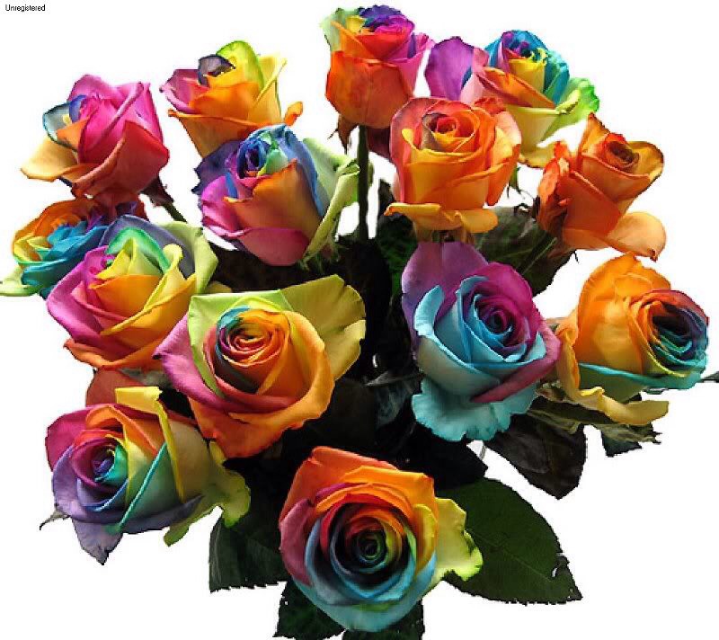 how-to-dye-flowers-musely