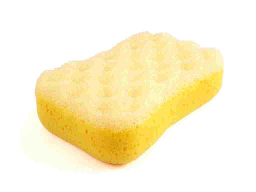 Have A Smelly Sponge Get It Back To Normal Musely have-a-smelly-sponge-get-it-back-to-normal-musely